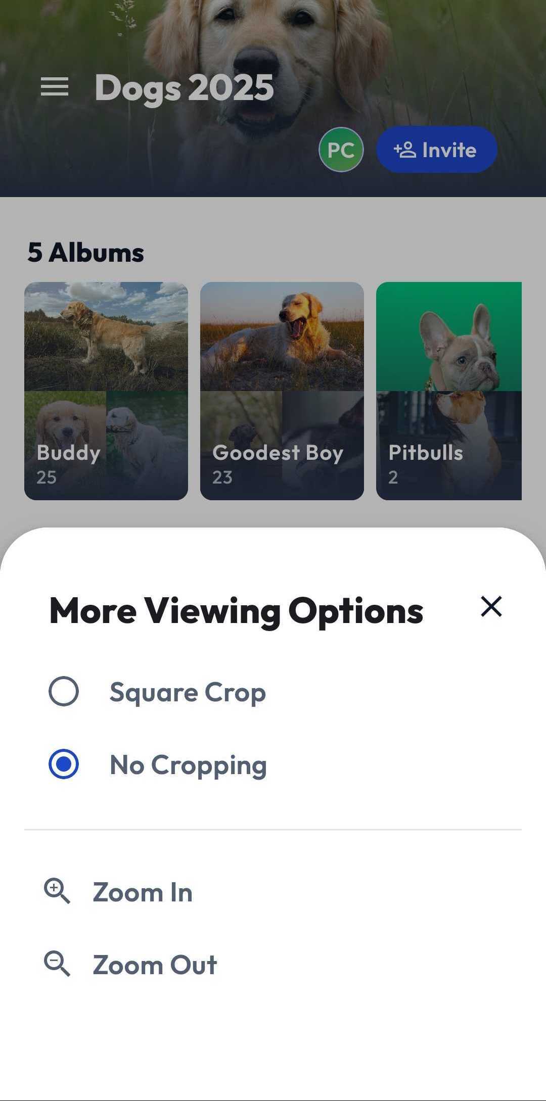 How to change the Group Bucket view on the app – Photobucket Support